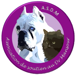 Comment nous aider ? - ASDM